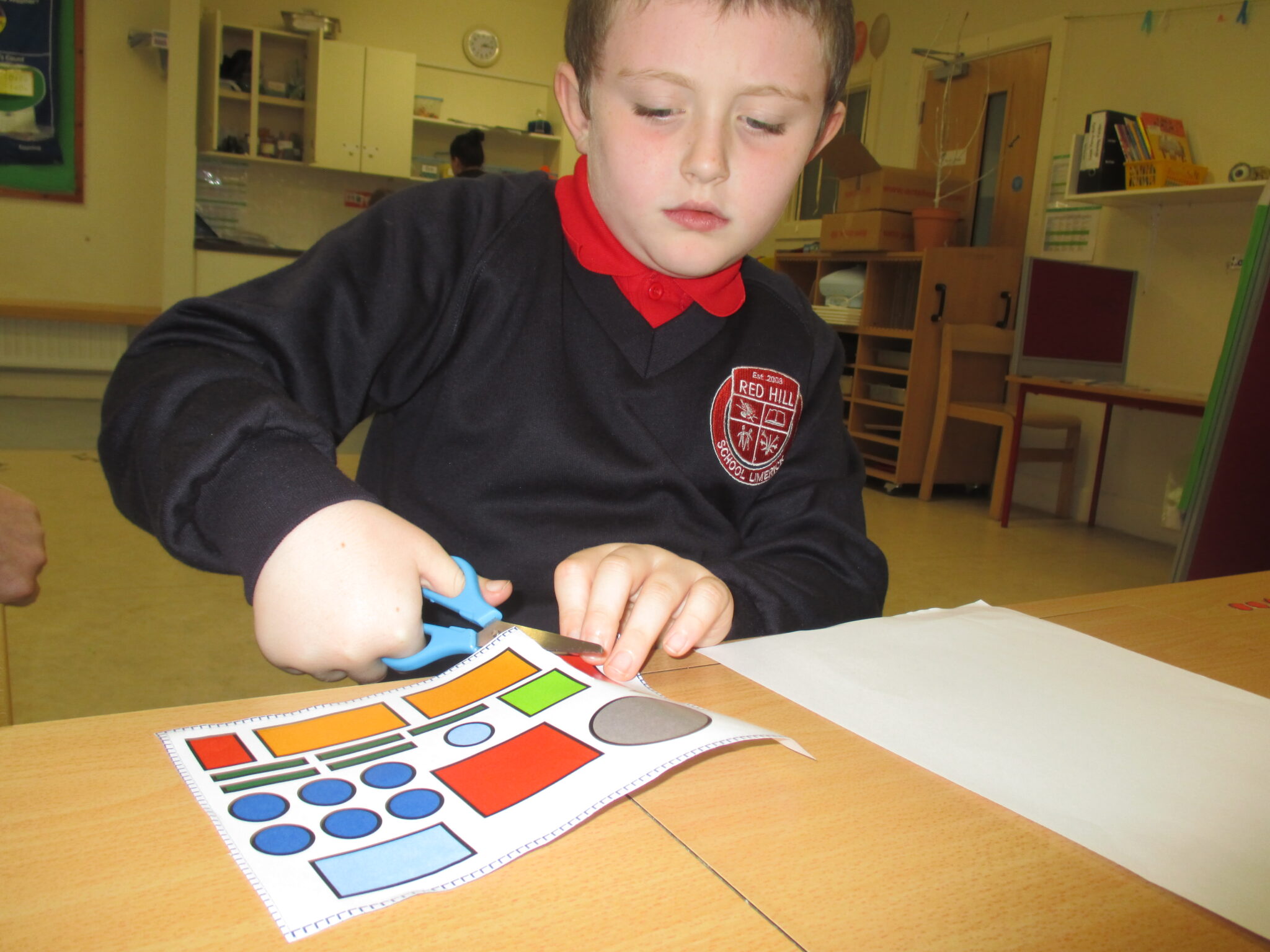 Cedar Class Activities | Red Hill School